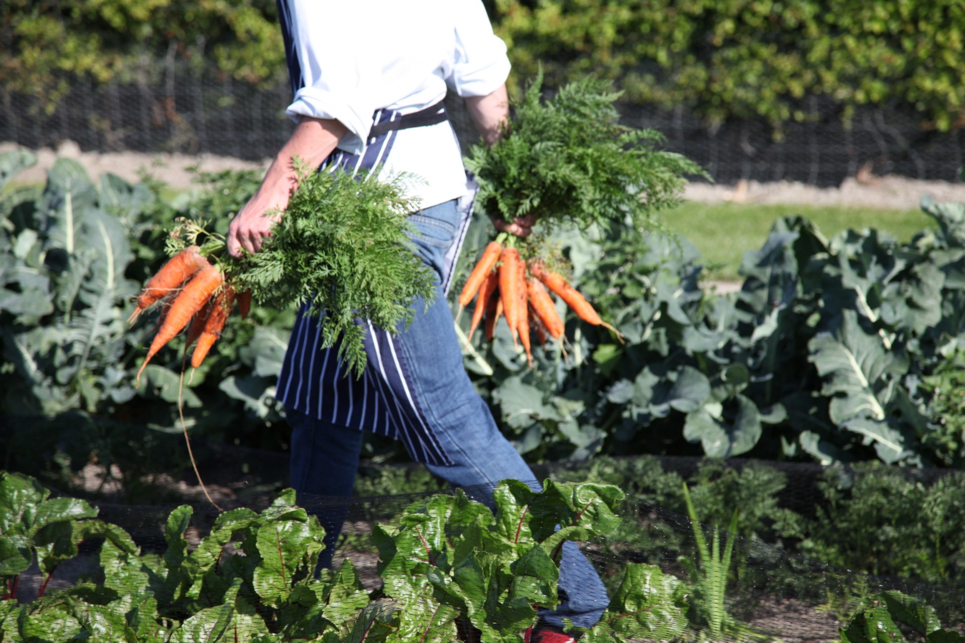 Award-Winning Inn, Pub & Venue - The Three Daggers